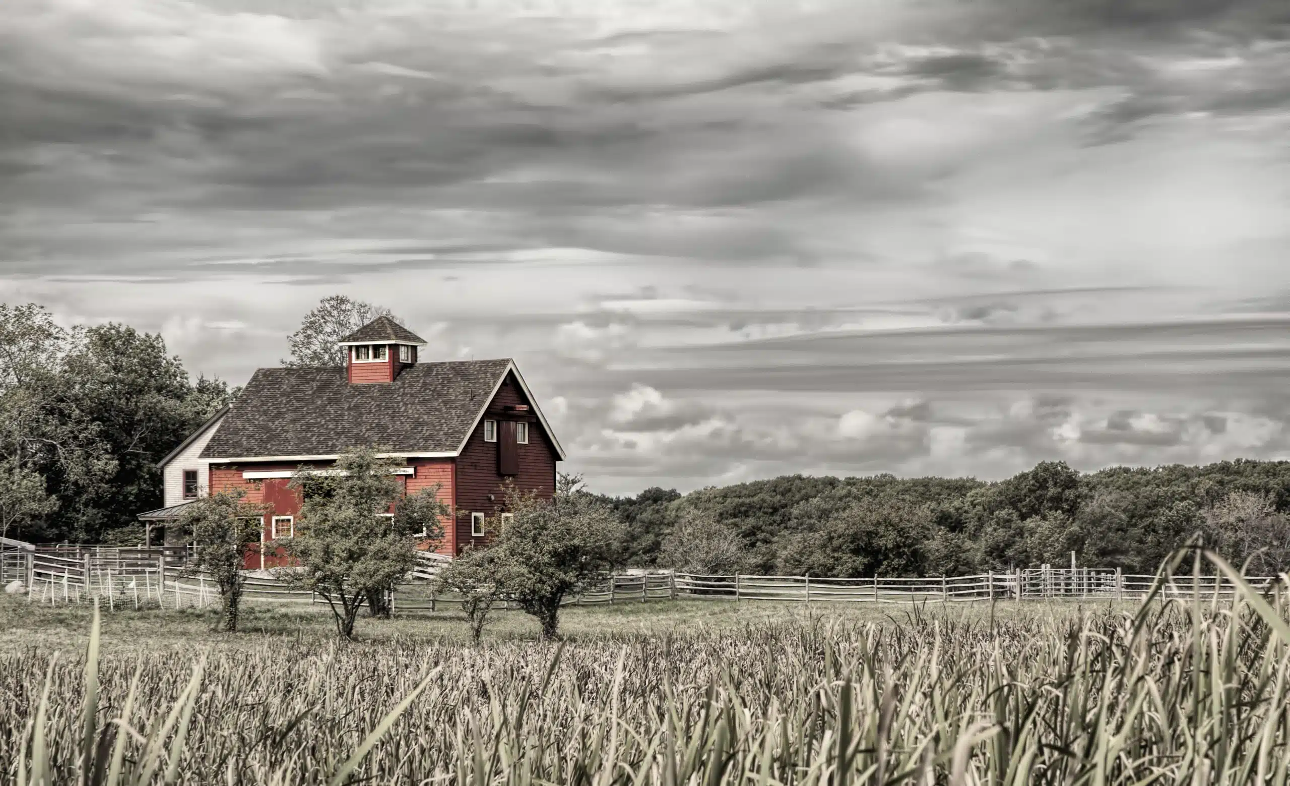 Red Barn